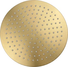 Rea Rea, kulatá dešťová sprcha 25cm, zlatá matná, REA-P8609