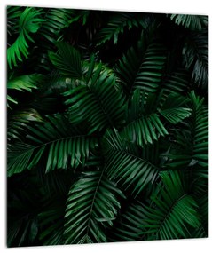 Obraz - Tropické kapradí (30x30 cm)