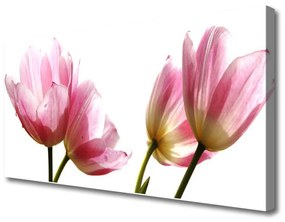 Obraz na plátně Květiny Rostlina 100x50 cm