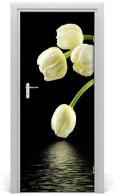 Fototapeta samolepící Bílé tulipány 75x205 cm