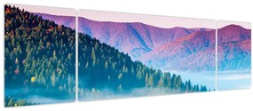 Obraz - Panorama 2 (170x50 cm)
