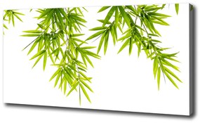 Wallmuralia Foto obraz na plátně Listí bambusu 100x50