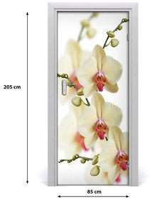 Samolepící fototapeta na dveře Orchidej 85x205 cm