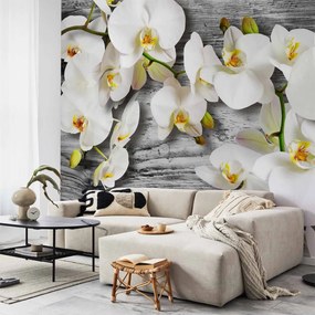Fototapeta Chladivé orchideje - bílé květiny na pozadí dřeva v odstínech šedi