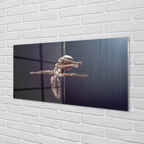 Obraz na skle Tanec trubka žena 125x50 cm