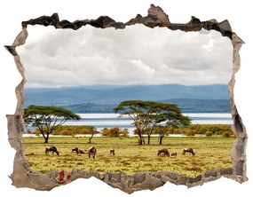 Wallmuralia Nálepka fototapeta 3D výhled Jezero Naivasha 95x64 cm