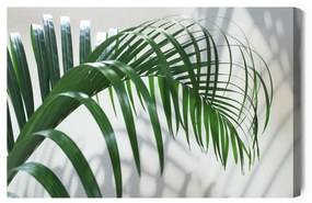 Obraz Zelený Palmový List S 3D Efektem Nedostatek Nedostatek Plátno Canvas 90x60