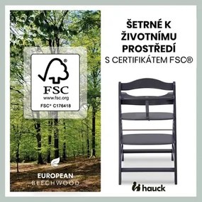 Hauck Alpha+ dřevěná židle+novorozenecký set polohovací, 0m+, Dark Gre
