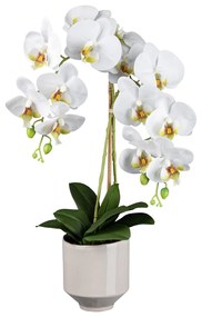 Gasper Orchidej v keramickém květináči, 60 cm, bílá