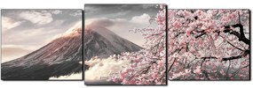 Obraz na plátně - Hora Fuji a třešňové květiny na jaře- panoráma 5266QD (120x40 cm)