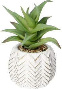 Dekorace Aloes I 14cm