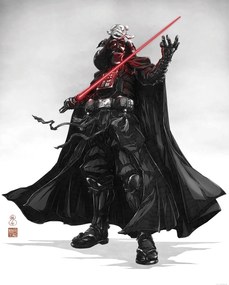 Komar Plakát Star Wars Vision Samurai Dark Lord 40 cm x 50 cm