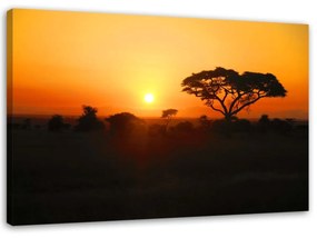 Obraz na plátně Afrika Strom západ slunce - 120x80 cm