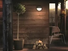 Philips Capricorn LED 6W antracit / venkovní svítidlo / 600 lm / 2700K