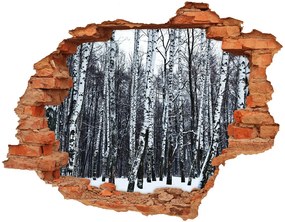 Wallmuralia Nálepka fototapeta 3D výhled Břízy zima 90x70 cm