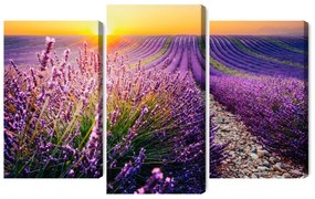 Vícedílný obraz Levandulové Pole Při Západu Slunce 3D Nedostatek Nedostatek Plátno Canvas 90x60