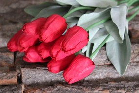 Červený umělý tulipán v puku s listy 55cm 1ks