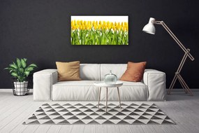 Obraz na plátně Tulipány Květiny Příroda 100x50 cm