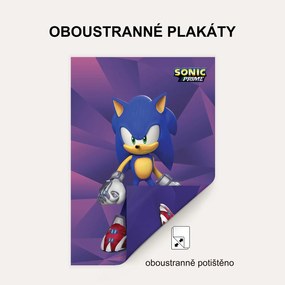 Oboustranný plakát Sonic | 30 x 42 cm | DP351501
