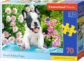 Castorland 070152 Štěně Francouzského buldočka / 70 dílků / od 5 let