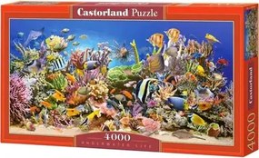 Castorland 400089 Podmořský život / 4000 dílků / od 9 let