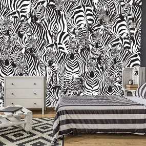 Fototapeta - Zebra (254x184 cm)