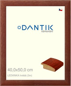 DANTIK rámeček 40x50 | LEDVINKA hnědá (Plexi Čiré)