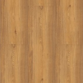 Vinylová plovoucí podlaha BRASED Ecoplus Click 9552 Dub medový 1,883 m²