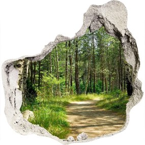 Wallmuralia Díra 3D ve zdi nálepka Stezka v lese 75x75 cm