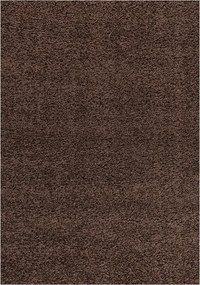 60x110 Kusový koberec Dream Shaggy 4000 brown