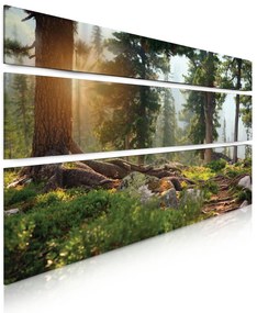 Malvis ® Vícedílný obraz Procházka lesem Velikost (šířka x výška): 160x100 cm