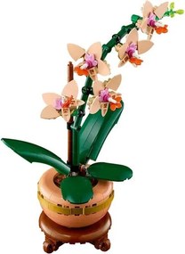 LEGO® Botanicals 10343 Miniaturní orchidej