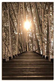 Obraz na plátně - Dřevěná promenáda v bambusovém lese - obdélník 7172FA (75x50 cm)