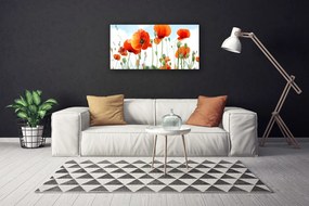 Obraz na plátně Květiny Máky Louka Pole Příroda 140x70 cm