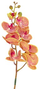 Villa Collection Umělá dekorace Styles Orchidej 102 cm Green/Rose