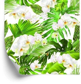 Tapeta Na Zeď Příroda Zelené Orchideje Květiny Pro Obývací Pokoj Vliesová tapeta 53x1000