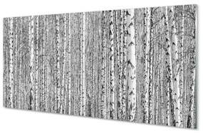 akrylový obraz Černá a bílá strom les 100x50 cm