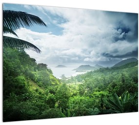 Skleněný obraz - Seychelská jungle (70x50 cm)