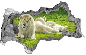 Wallmuralia Samolepící díra nálepka Béžoví lvi 95x73 cm