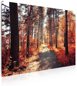 Malvis ® Obraz na plátně Podzimní procházka Velikost (šířka x výška): 90x60 cm