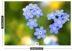 Fototapeta Forget-me-nots Srdce 104x70