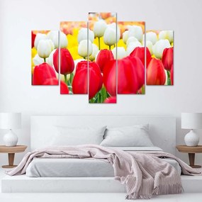Obraz na plátně pětidílný Tulipán červený bílý - 200x100 cm