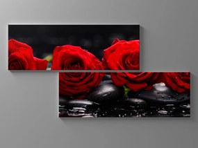 Liox Obraz růže a kameny Rozměr: 180 x 90 cm