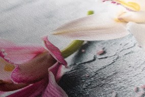 Obraz dva barevné květy orchideje Varianta: 120x80