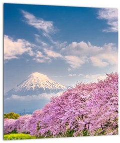 Obraz - Japonská jarní krajina (30x30 cm)
