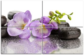 Obraz na plátně - Lávové kameny a fialové květy 163D (120x80 cm)