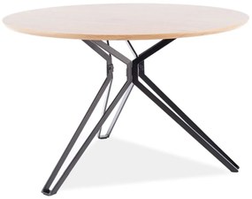 Dubový jídelní stůl s černými nohami COLT 120x120