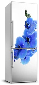 Wallmuralia Nálepka fototapeta Modrá orchidej 60x180 cm