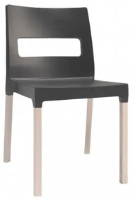 Scab Plastová židle Natural MAXI DIVA Barva plastu Scab Antracit Moření Scab FS-buk bělený 2816