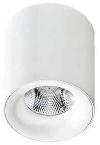 Azzardo AZ2845 - LED Stropní svítidlo MANE 1xLED/10W/230V